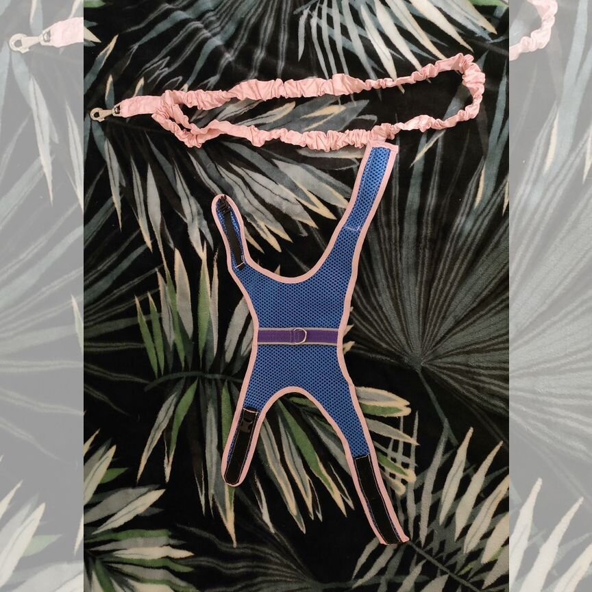 Шлейка кошачья с поводком