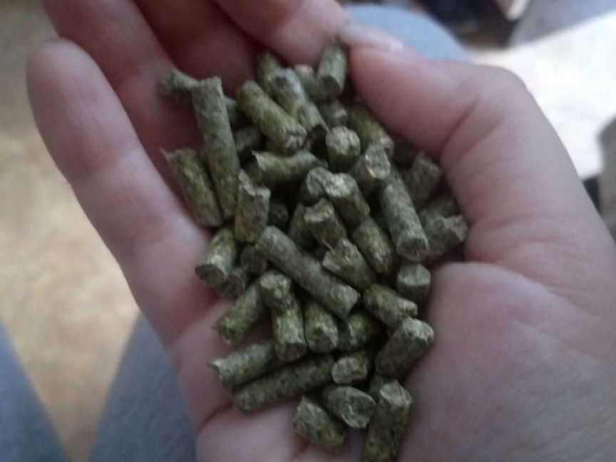 Корма для животных