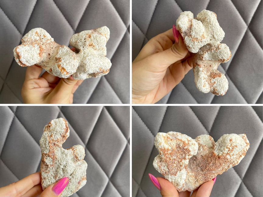 Коралл натуральный с Мальдивских островов