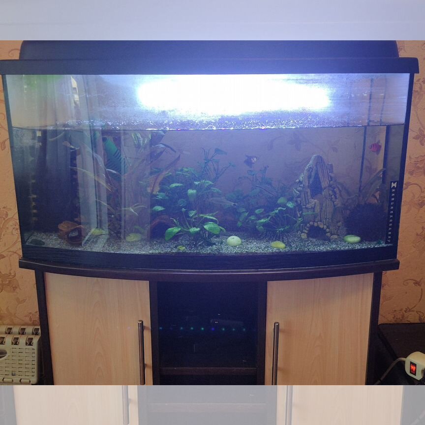 Аквариум с тумбой 200л