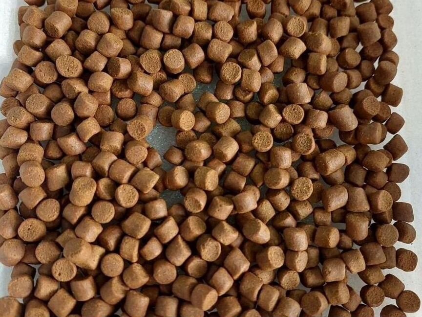 Корм для осетра