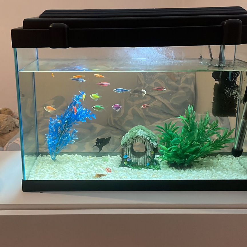 Готовый аквариум со всем нужным и рыбками