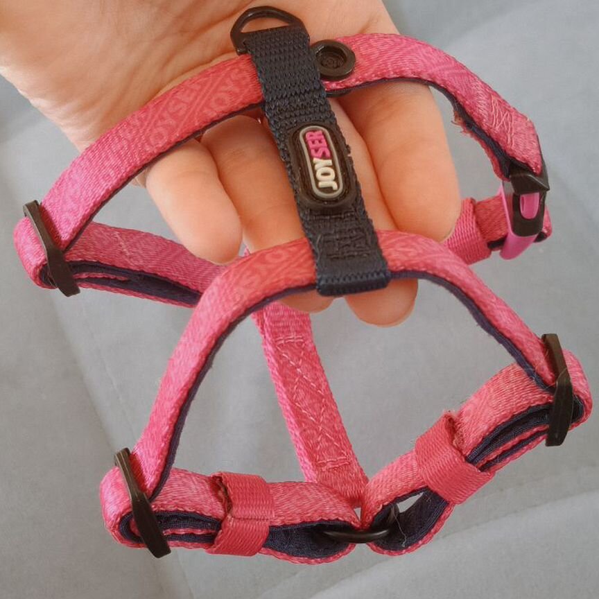 Шлейка для маленькой собаки