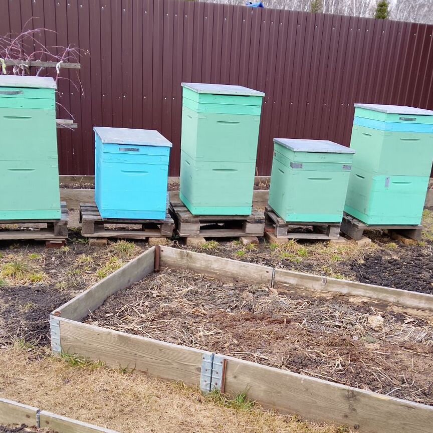 Ульи для пчел