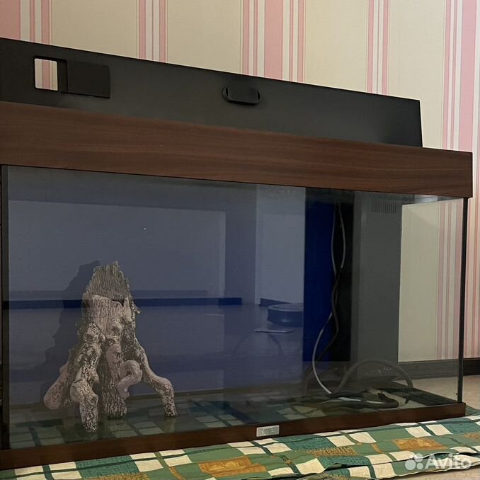 Аквариум с наполнением