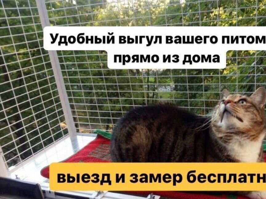 Балкон для кошек