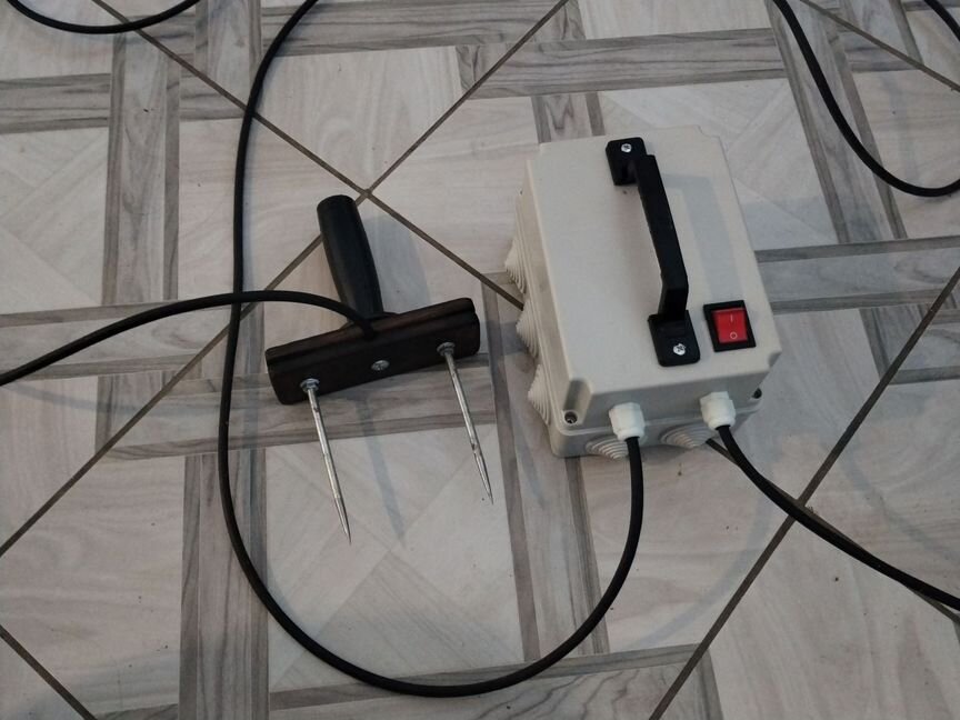 Парализатор для забоя свиней