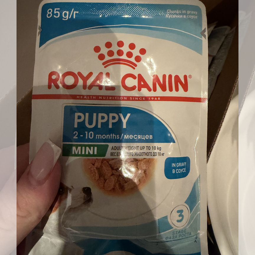 Royal canine puppy mini