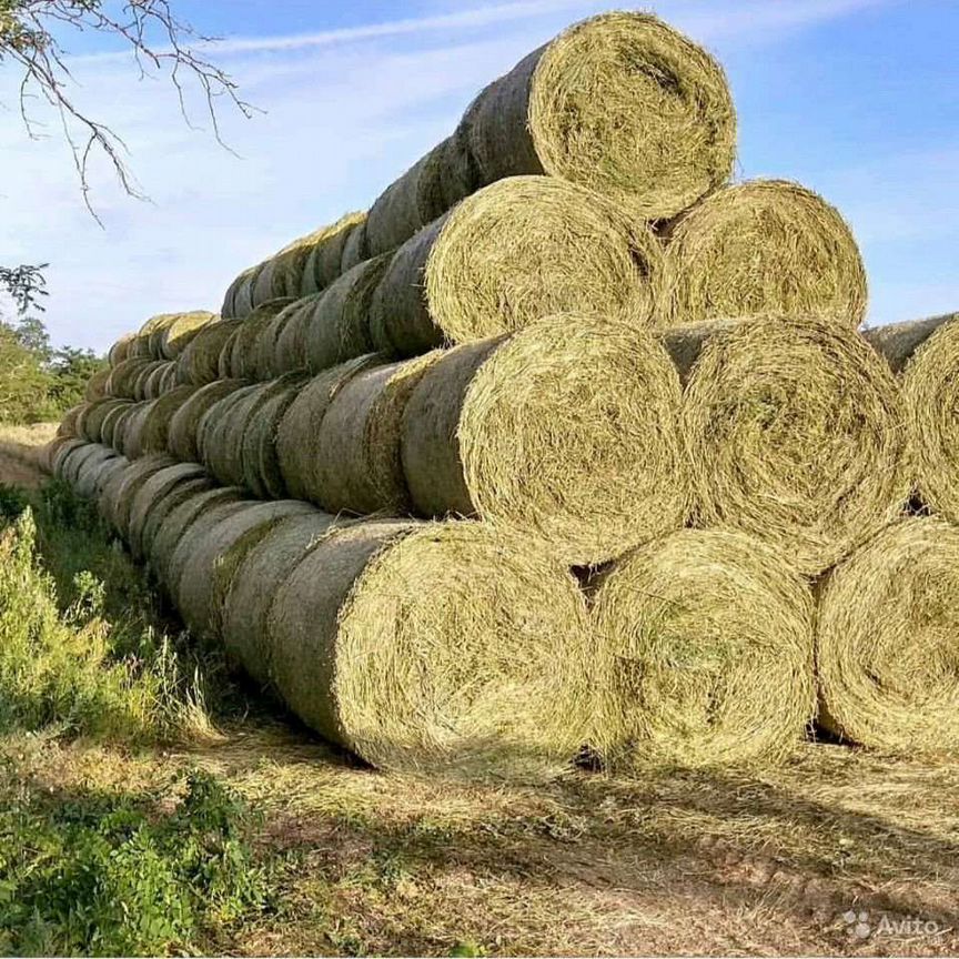 Сено и салома