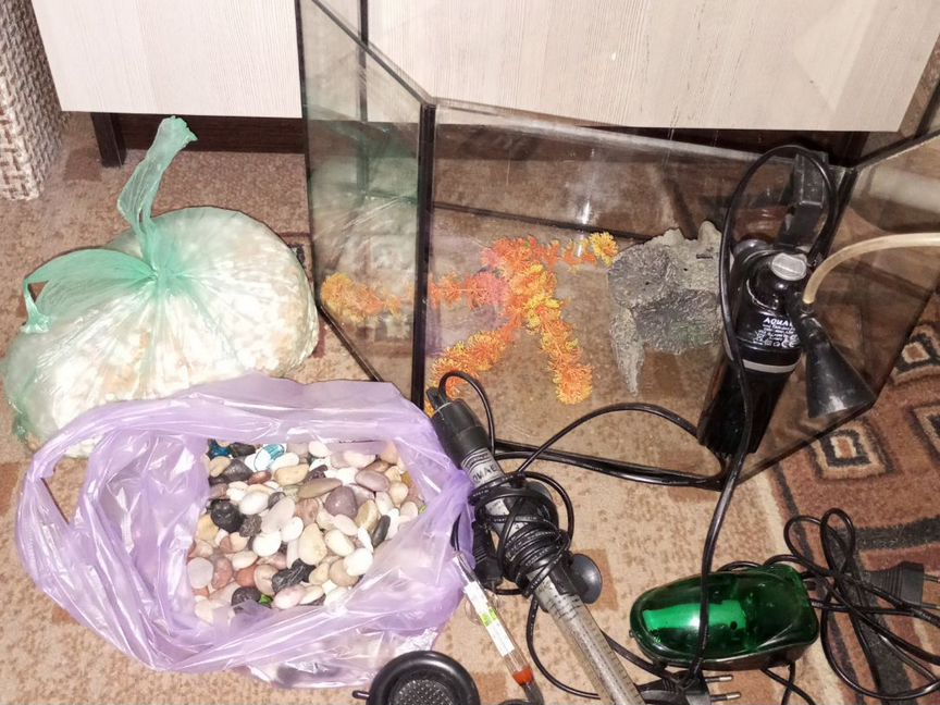 Аквариум с аксессуарами