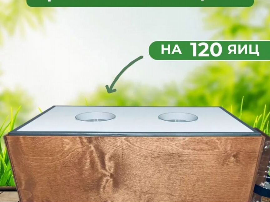 Инкубатор блиц 120