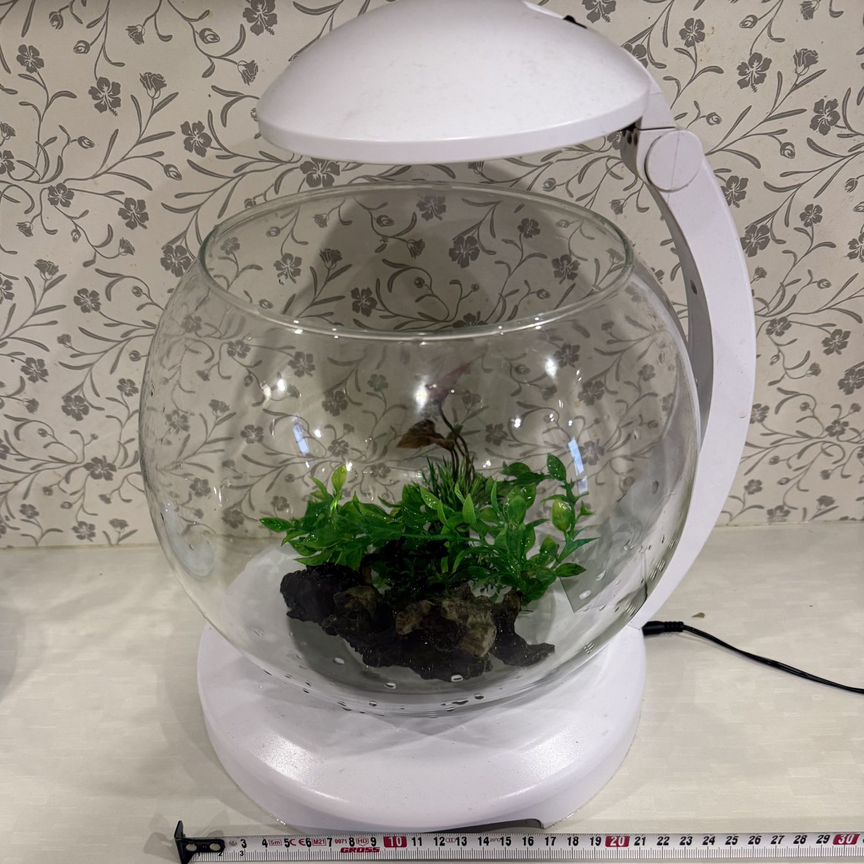 Аквариум с подсветкой