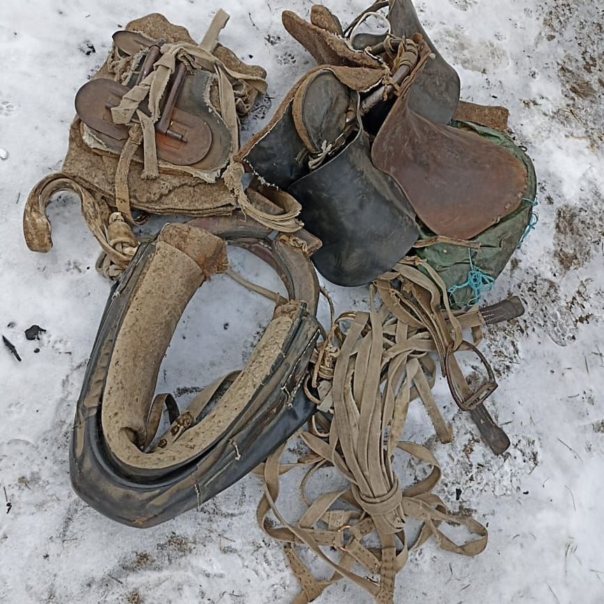 Конская упряжь