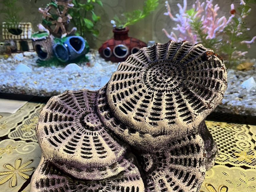 Актиния декор в аквариум