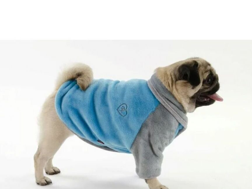 Выкройка одежды для собак, кошек