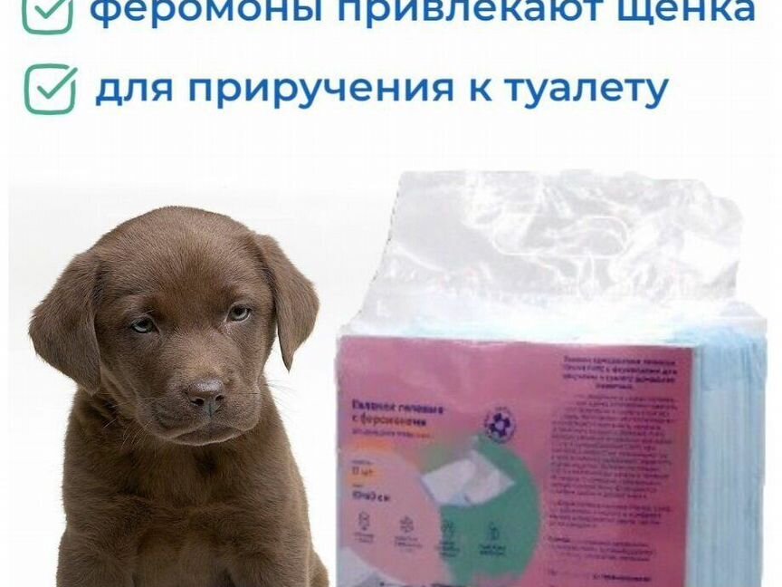 Пелёнки с феромонами для приучения к туалету