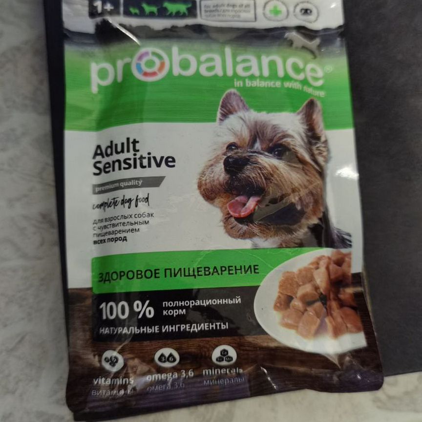 Влажный Корм для собак probalance