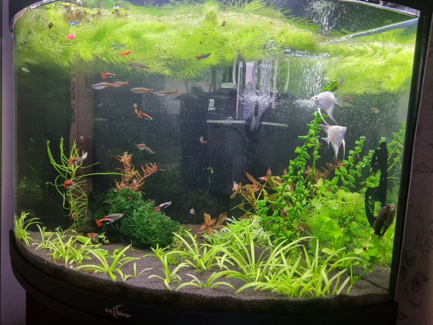 Аквариум с тумбой и со светом 90 литров