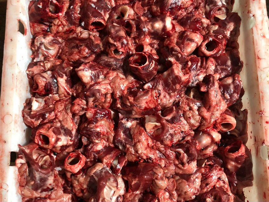 Обрезь для собак