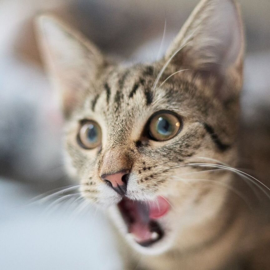 Глаша 6 месяцев