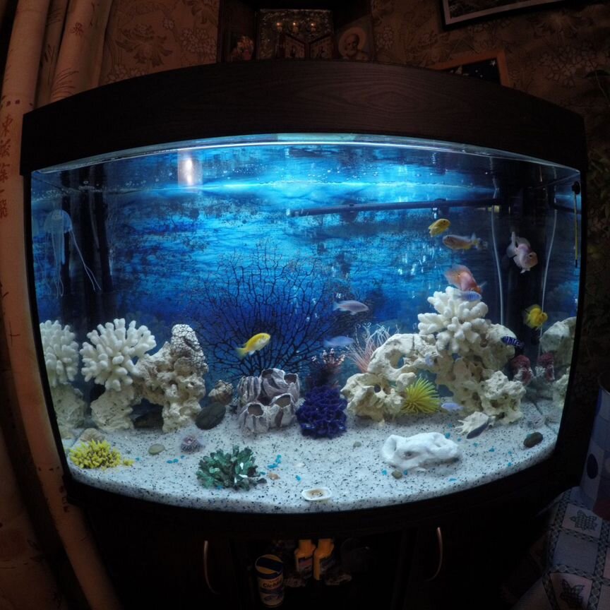 Аквариум 450 литров