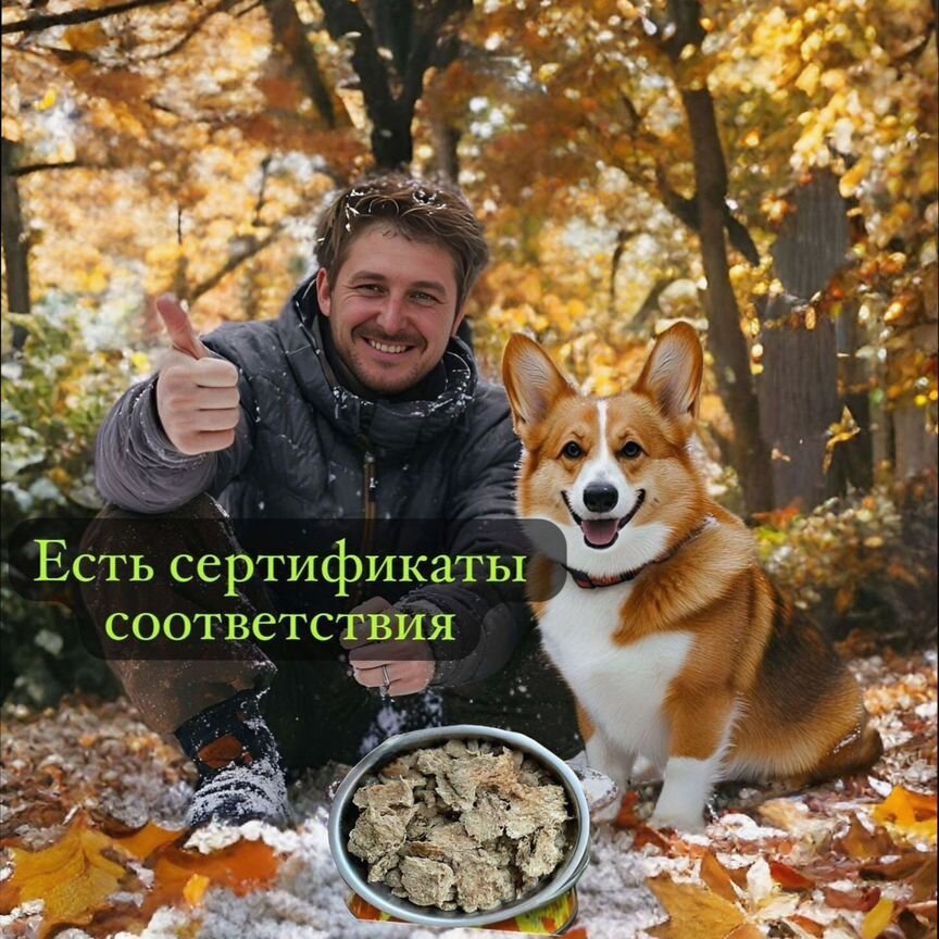 Корм для собак от производителя