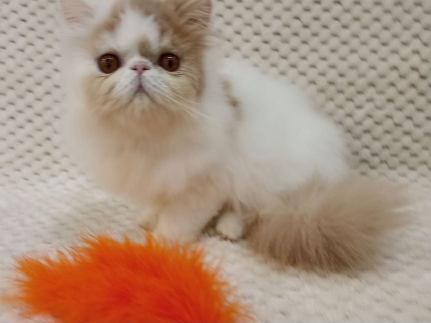 Ладушка - сладушка