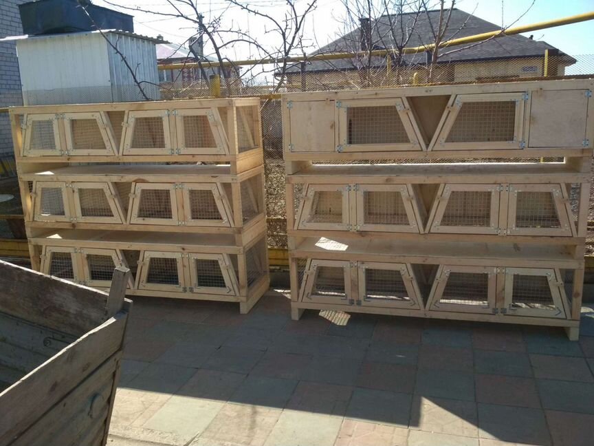 Клетки
