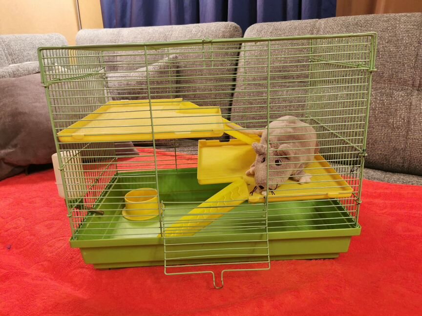 Клетка для грызунов