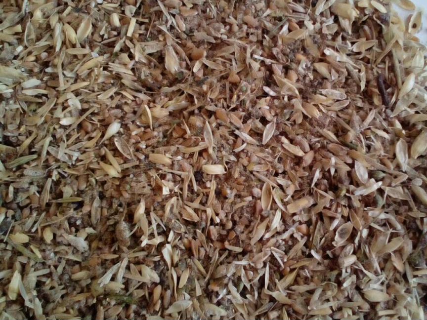 Зерноотходы,мучные и крупяные сметки