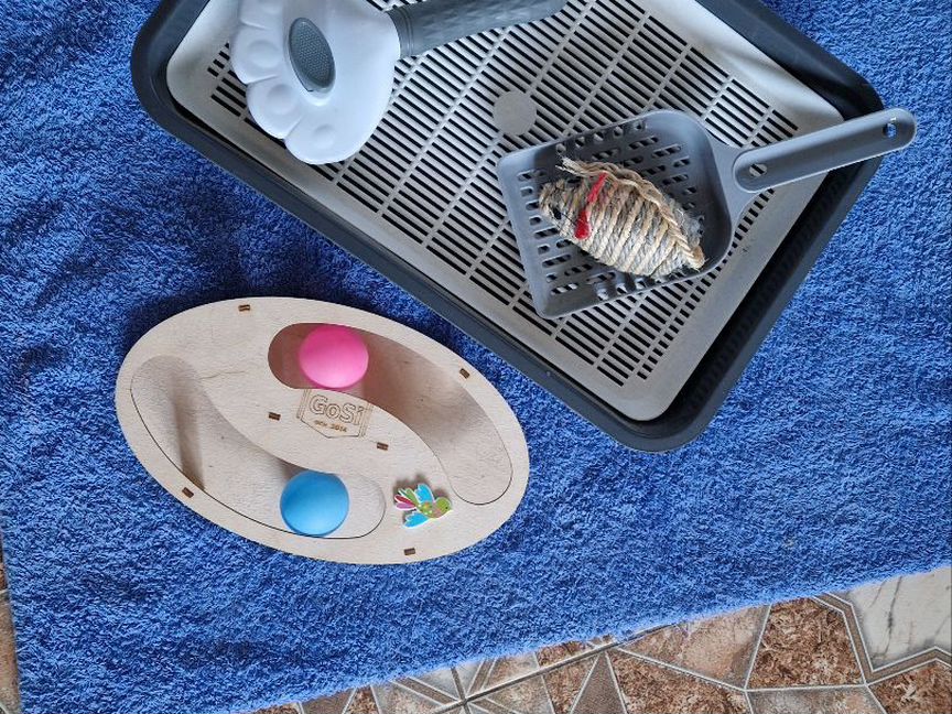 Лоток для кошек