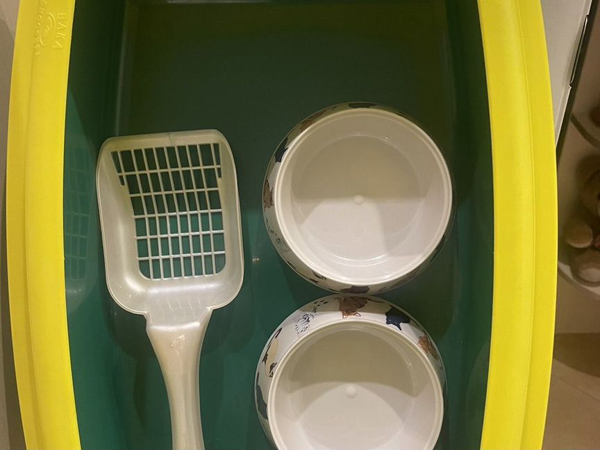 Продам лоток, миски, совок для котов