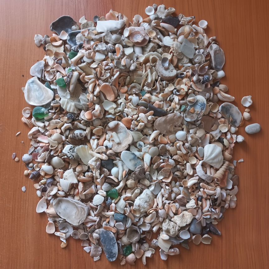 Ракушки для аквариума