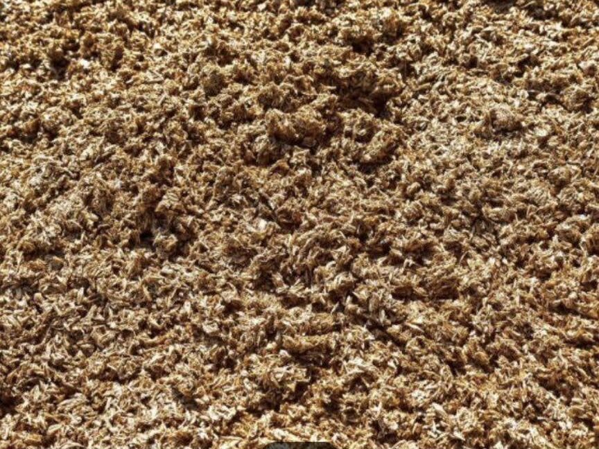 Дробина пивная (солодовая )