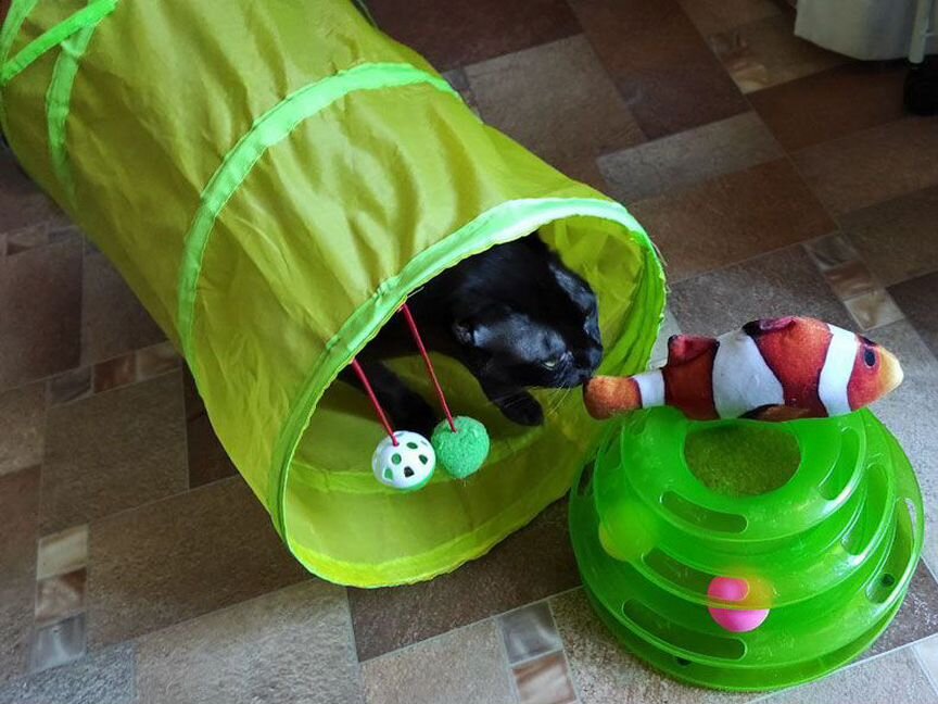 Игрушки для кошки