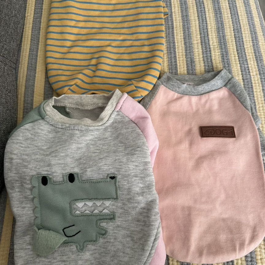 Одежда для собак мелких пород