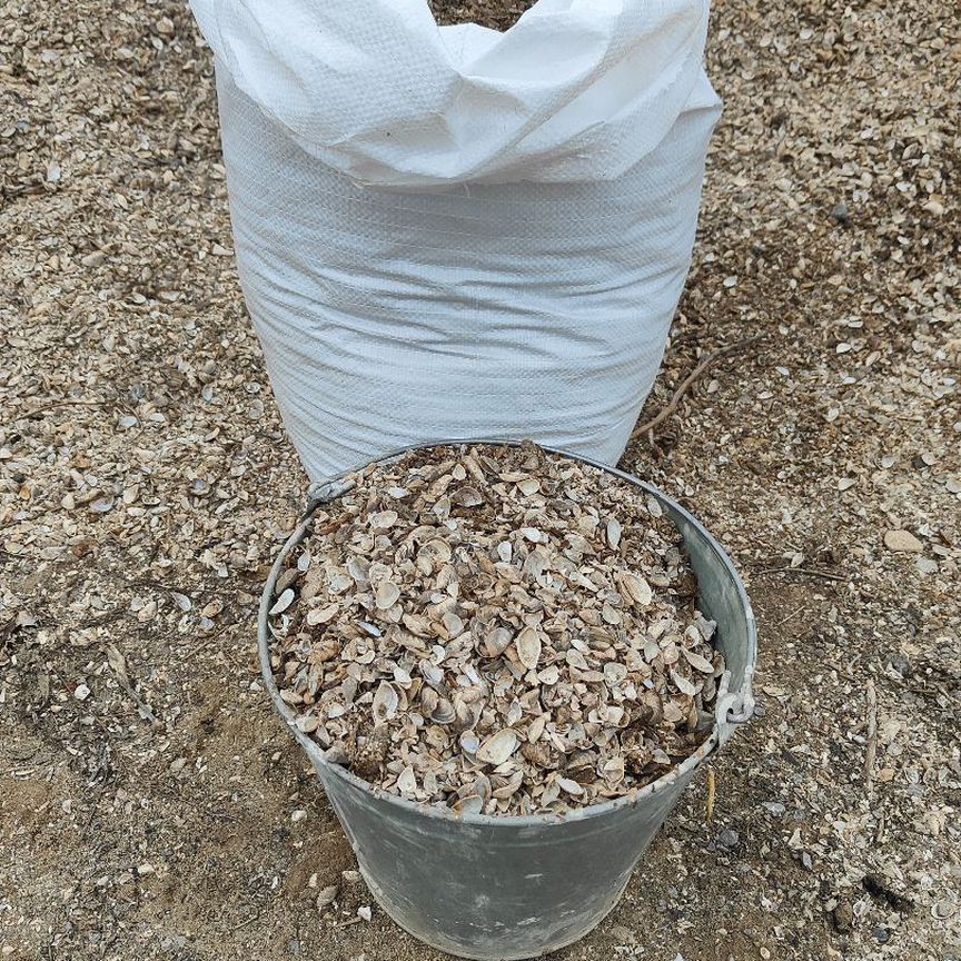 Ракушка кормовая речная для кур