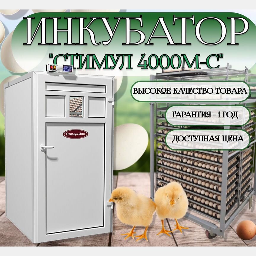 Инкубатор автоматический для яиц стимул-4000М1П