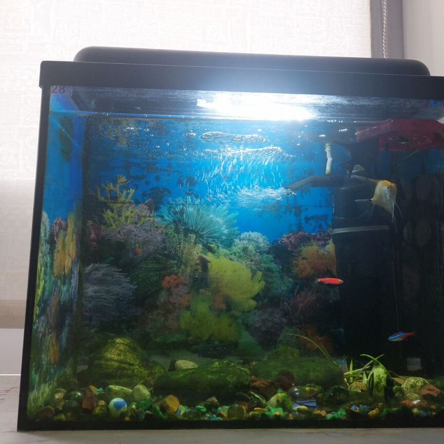 Аквариум