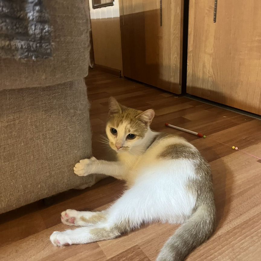 Забери меня домой