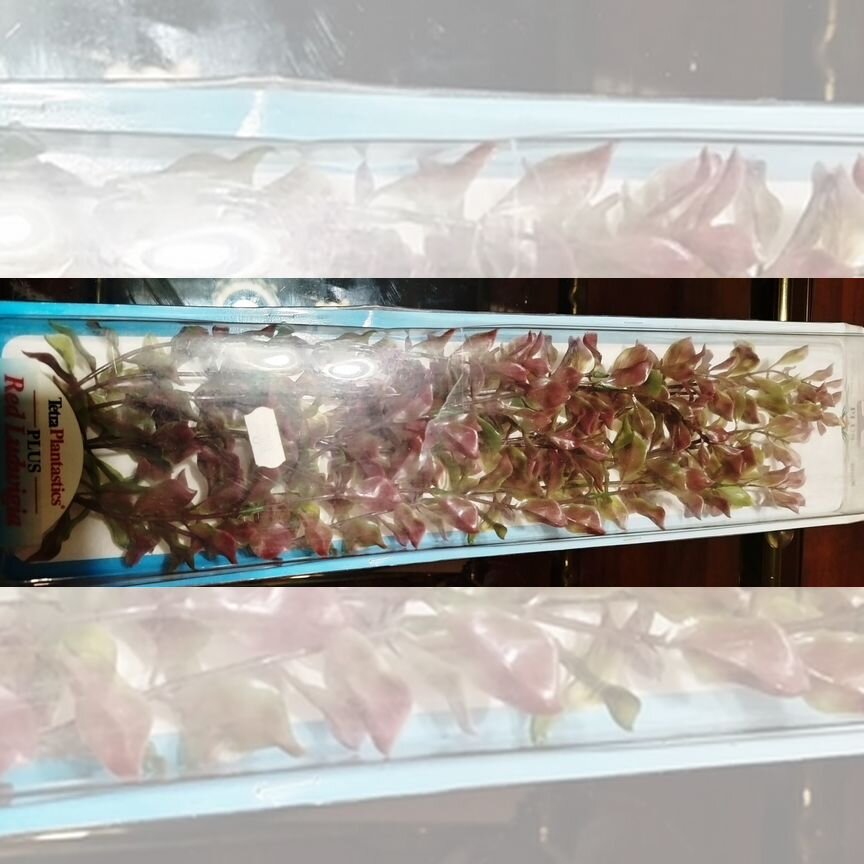 Искусственные растения для аквариума