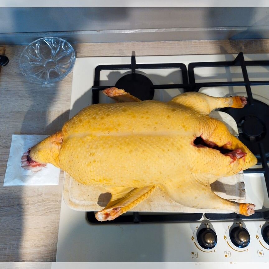 Домашние индейка, утка, гусь, мулард (мясо)