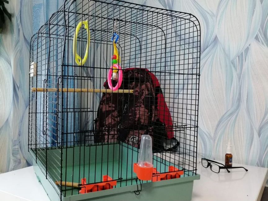 Клетка для попугая