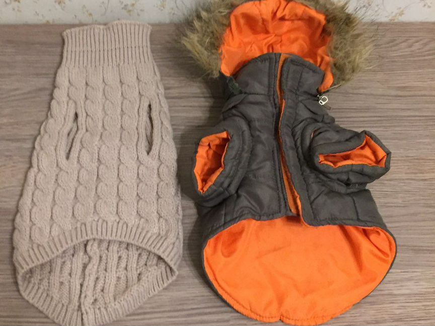 Комбинезон и обувь для собаки