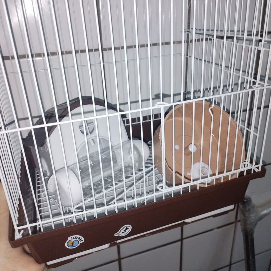 Клетка для грызунов бу