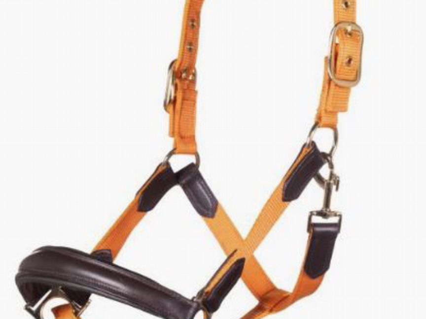 Яркий оранжевый недоуздок для лошади коллекция mar