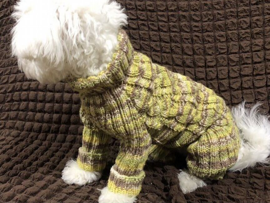 Одежда для собак мелких пород и кошек