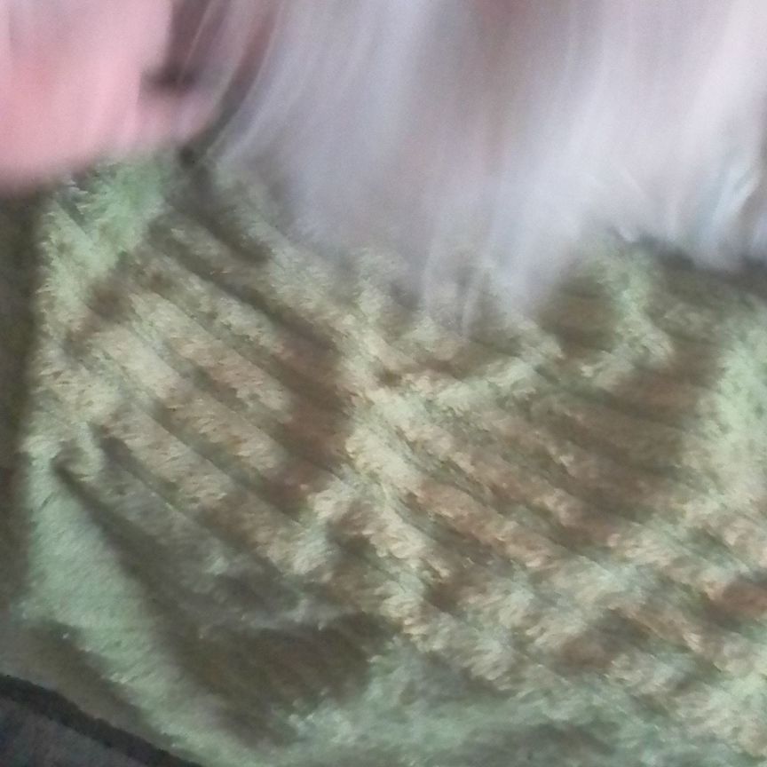 Собака