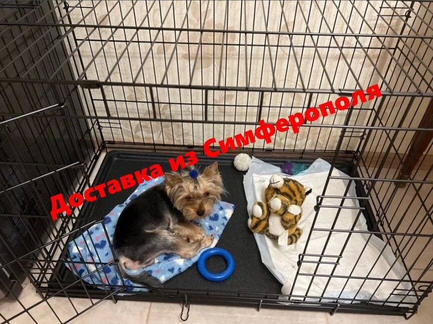 Клетка любого размера доставка в Судак