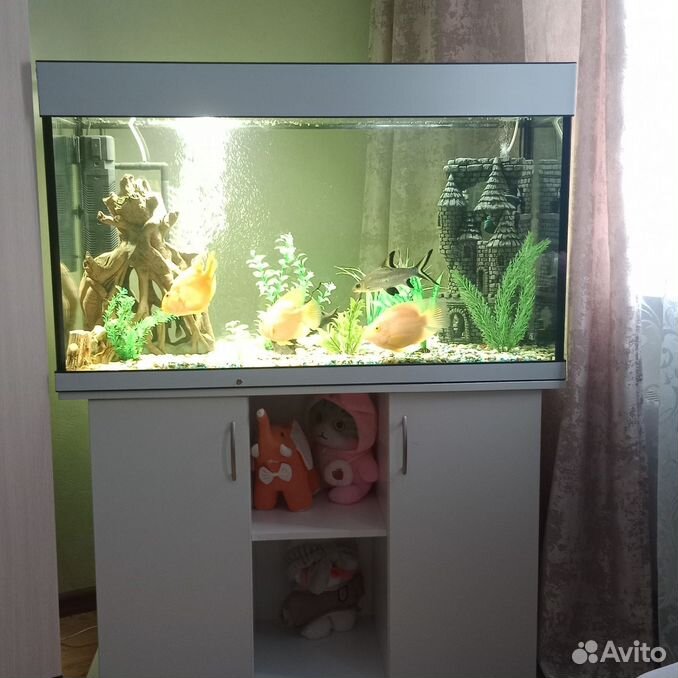 Аквариум с тумбой 220литров